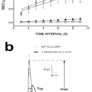 A Average Of Square Of The Mean Distance Moved MSD During The