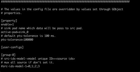 A Question About Deepstreamparallelinferenceapp Deepstream Sdk