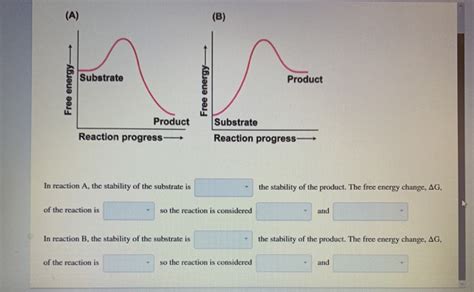 Given The Reaction Progress Curves For Two Different