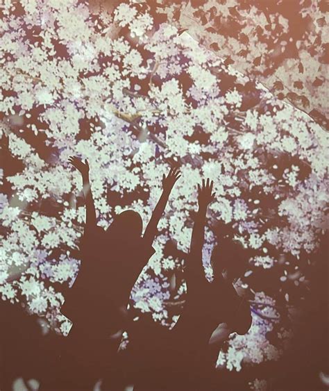 Instagram Flowers Ayano Nonomura
