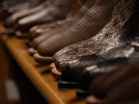 Python Skin Boots Care