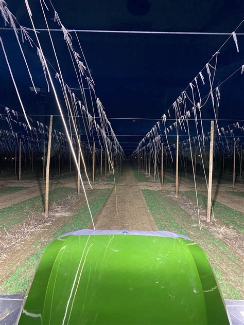 Tentacles Matt Bostrom