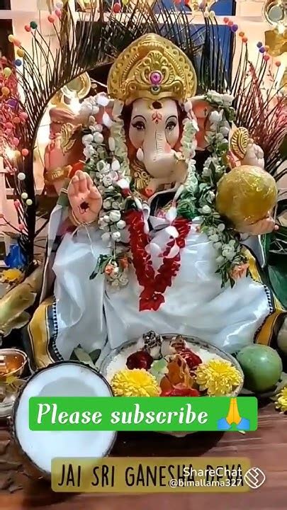 जय गणेश जय गणेश देवा माता जाकी पार्वती पिता महादेवा 🙏🙏pleasesubscribe