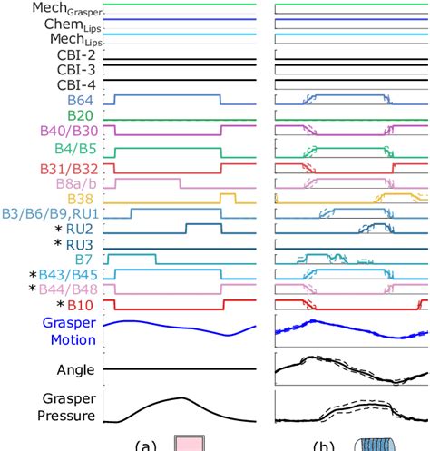 Slugbot Qualitatively Replicates The In Silico [25] Neural Signals