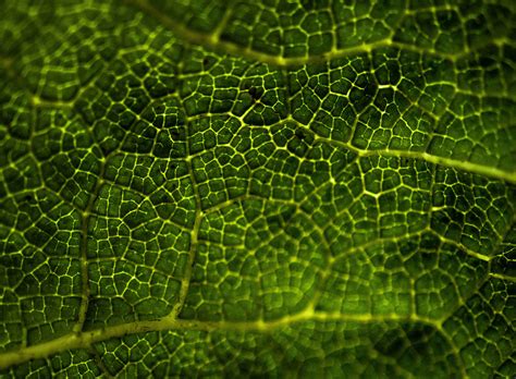 Scale Shifts But Remains Familiar On Behance