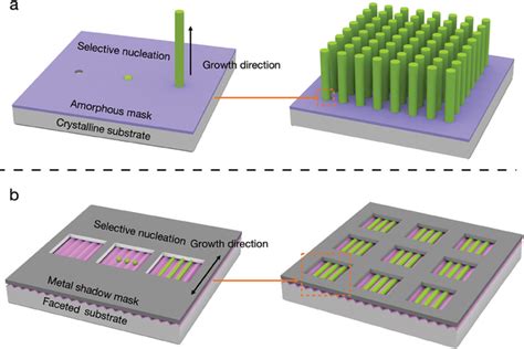 Schematic Diagrams Of Selective‐area Growth Of Nanowires In Vapor