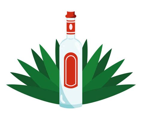 2500 Mezcal Ilustraciones De Stock Gráficos Vectoriales Libres De