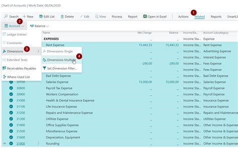 Chart Of Accounts The Dynamics Explorer