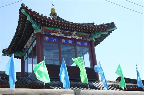 树村 搜狗百科
