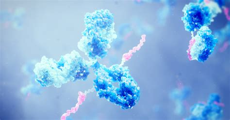 Targeting Obesity Using Biology To Enhance Behavior Amgen