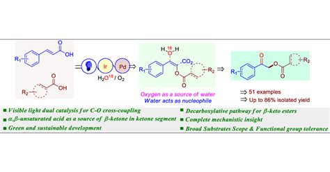 Merging Photocatalytic Co Cross Coupling For α Oxycarbonyl β Ketones