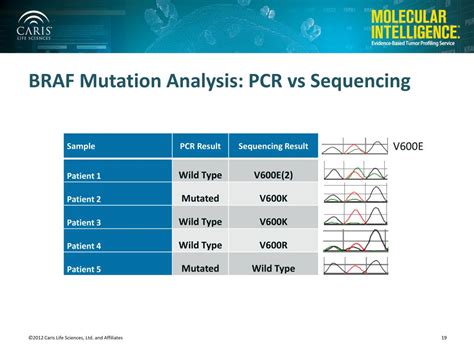 Ppt Cancer Statistics Powerpoint Presentation Free Download Id6625082