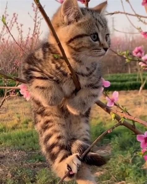 Tumblr Q7x5fevn3w1xgom7z Smart1