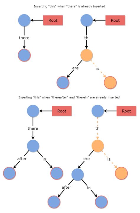 Compressed Trie Tree Theory Of Programming