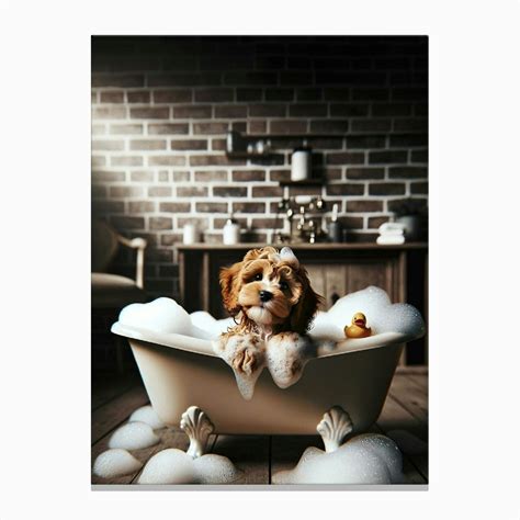 Cavapoo Taking A Bubble Bath Canvas Print By Nordicdesignhouse Fy