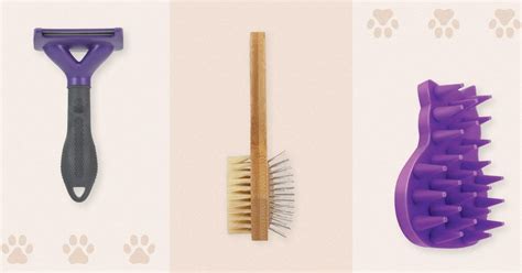 The Best Cat Brushes Of 2024 According To Groomers And Vets R