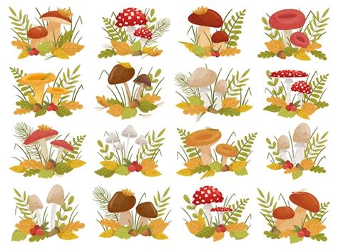 Premium Vector Floral Mushrooms Compositions