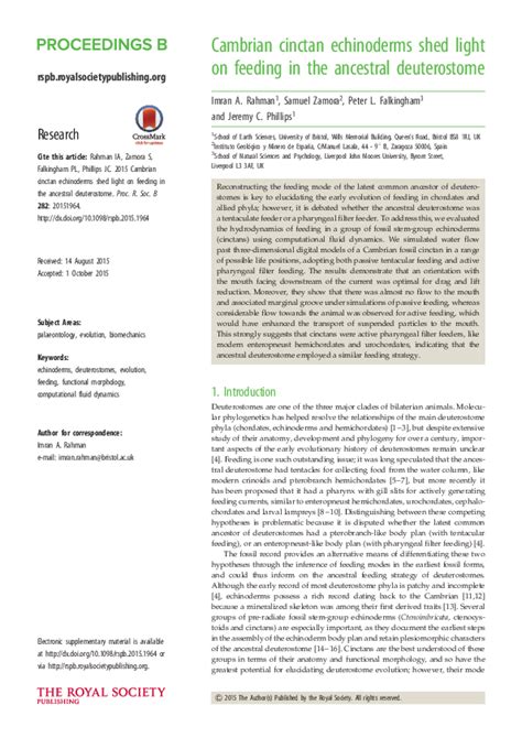 Pdf Cambrian Cinctan Echinoderms Shed Light On Feeding In The