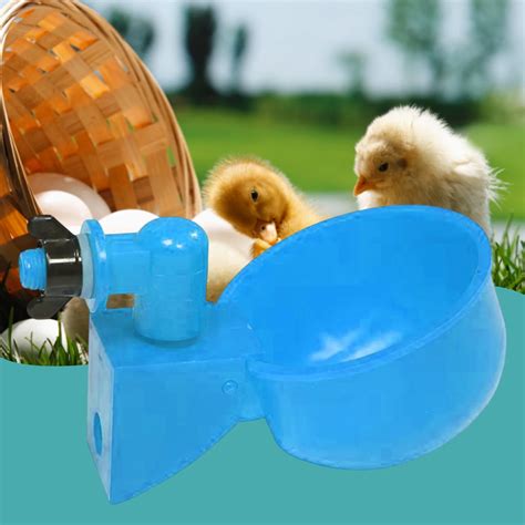 Gobelet à boire automatique jetable mangeoire à eau en plastique pour