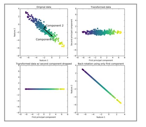 Difference Between Supervised Vs Unsupervised Learning