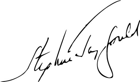 Filesjg Signaturepng