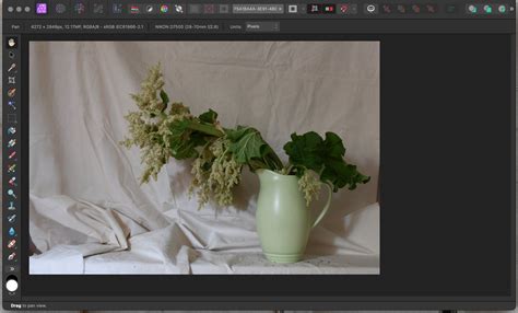 Loss Of Right Hand Panels In Affinity Photo 2 Desktop Questions