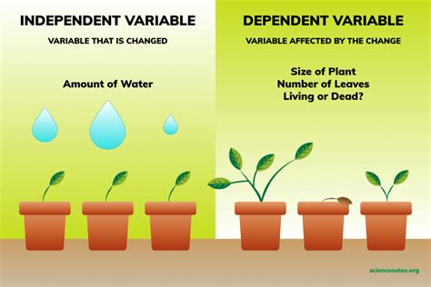 Independent And Dependent Variables Examples