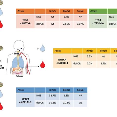 Validation Of Selected Somatic Mutations Detected By Ngs Tst 170
