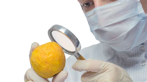 ¿son Saludables Los Alimentos Irradiados Que Se Venderán En La