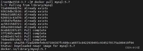 Docker安装或删除mysql以及进入数据库linux 删除docker 里面的mysql Csdn博客