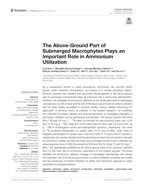 Pdf The Above Ground Part Of Submerged Macrophytes Plays An Important Role In Ammonium Utilization