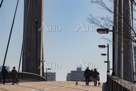 木場公園 東京都 江東区 182249726 の写真素材 アフロ