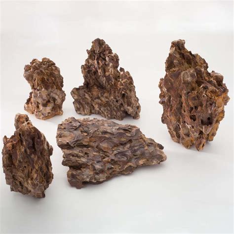 Coral Rock Wood And Freshwater Rocks Nature Aquariums Usa
