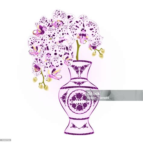 점 보라색과 흰색 도자기 붉은 히 비 스커 스와 나비 빈티지 벡터 일러스트 레이 션 편집의 꽃병에 난초 Phalenopsis 0
