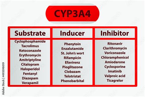 Cyp3a4 Cytochrome P450 Enzyme Pharmaceutical Substrates Inhibitors And