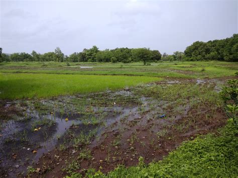 Acre Industrial Land Plot For Sale In Sarigam GIDC Vapi By AD Properties