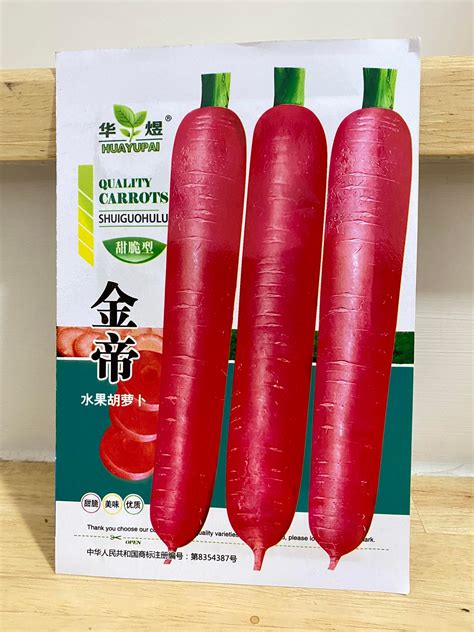 เมล็ดมะอึก มะเขือขน 20บาท 200เมล็ด Kesonagric Thaipick