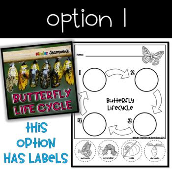 Butterfly Lifecycle Cut And Paste FREEBIE By Kinder Teamwork TpT