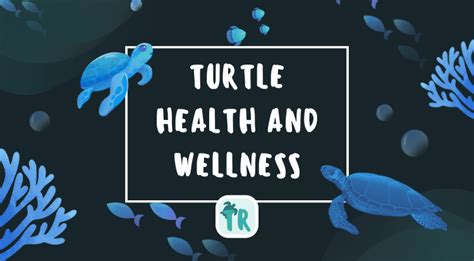 Turtle Health And Wellness Easy Guide