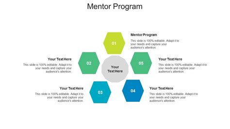 Mentor Program Ppt Powerpoint Presentation Summary Gridlines Cpb