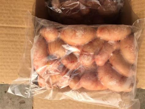 鸭腰子的图片 腰子图片 人腰子图片 大山谷图库