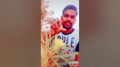 Tor Koyli Kas Boli Cg Youtube