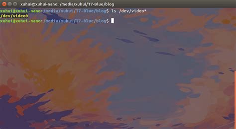 在NVIDIA Jetson Nano上使用树莓派相机模块 Raspberry Camera V2