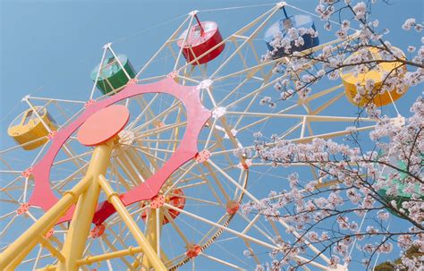 関東の婚活デート向きお花見スポット 婚プラ