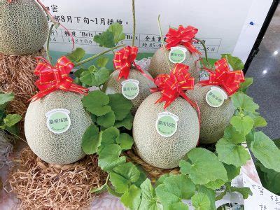 認識臺灣土雞主要品種 農傳媒