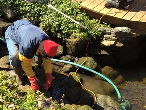 Pond Repair Panhandle Ponds In Pensacola Gulf Breeze Navarre Fort Walton Beach And More Of