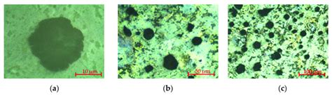 The Microstructure Of Cast Iron With Nodular Graphite And The Download Scientific Diagram
