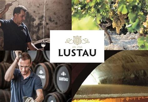 Sherry A Brief Introduction Ellis Wharton Wines