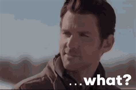 Mcgarries Kevinmcgarry  Mcgarries Kevinmcgarry What Discover