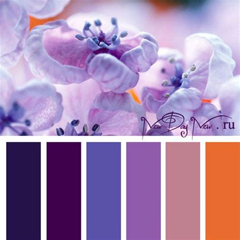 сочетание фиолетового цвета в одежде Color Palette Challenge Pantone